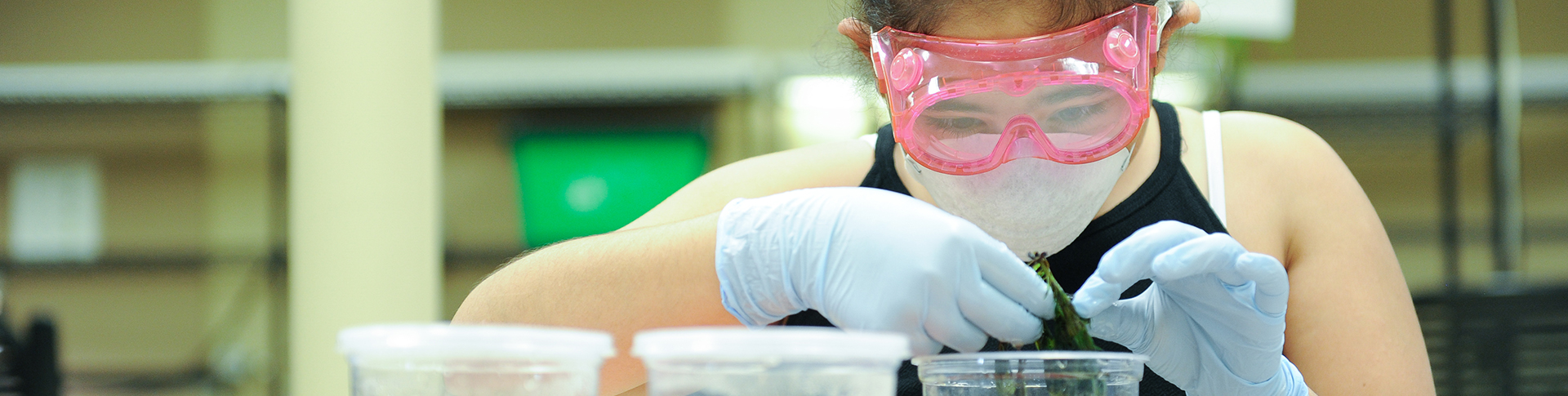 VAI Van Andel Institute