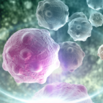 VAI Van Andel Institute