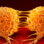 VAI Van Andel Institute