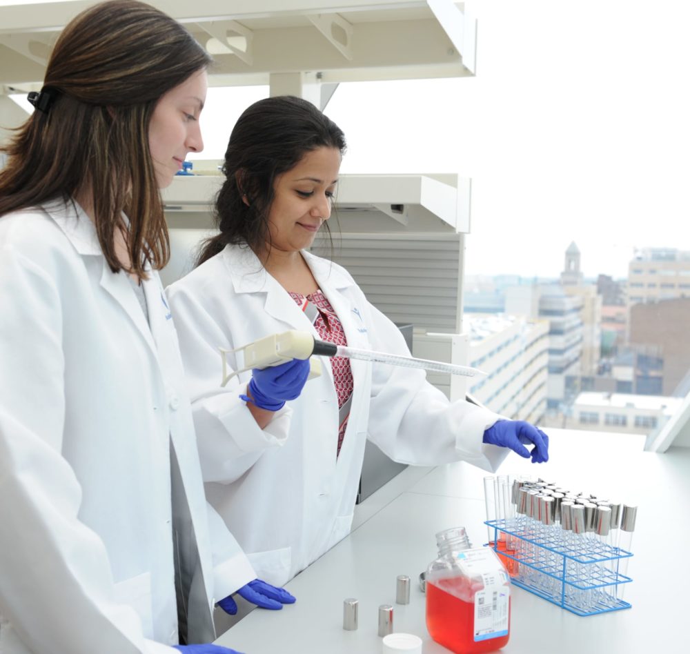 Career Opportunities & Employee Benefits - VAI