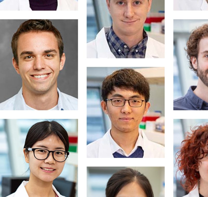 Postdoctoral Fellowship Programs - VAI