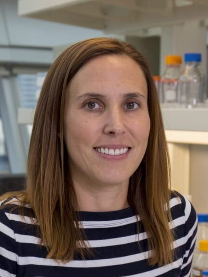 Core Technologies and Services – VAI