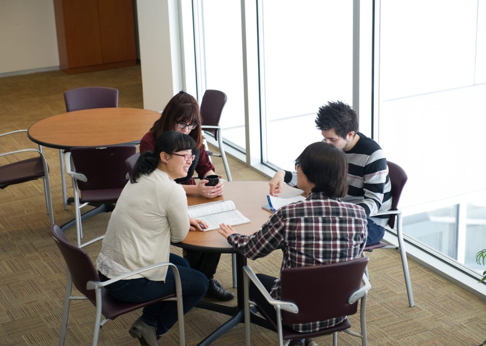 Doctoral & Ph.D. Program Overview - VAI