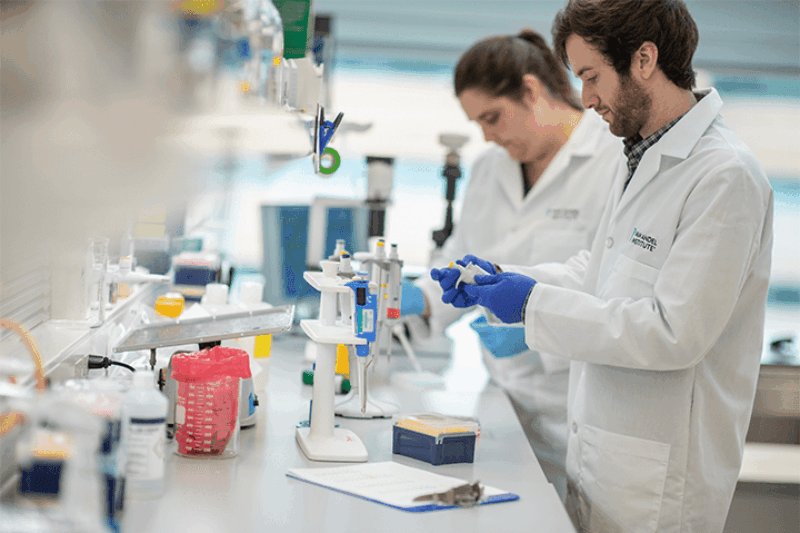 Graduate School Admissions & Applications - VAI