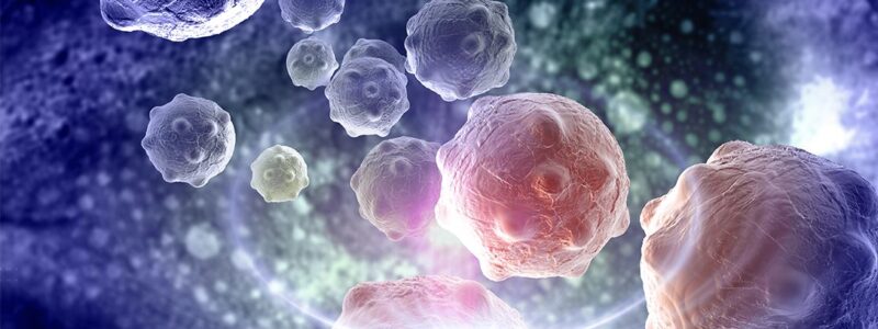 Disease profile: Pancreatic cancer – Van Andel Institute