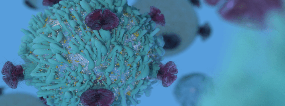 When studying immune cells, environment matters – Van Andel Institute