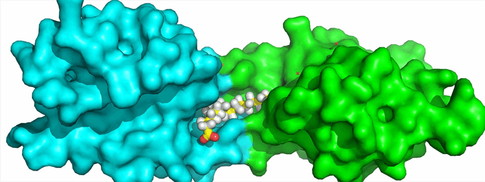Research brief: Searching for a crystal-clear picture of a molecular ...