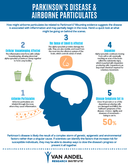 New research to target air pollution as a potential trigger for ...