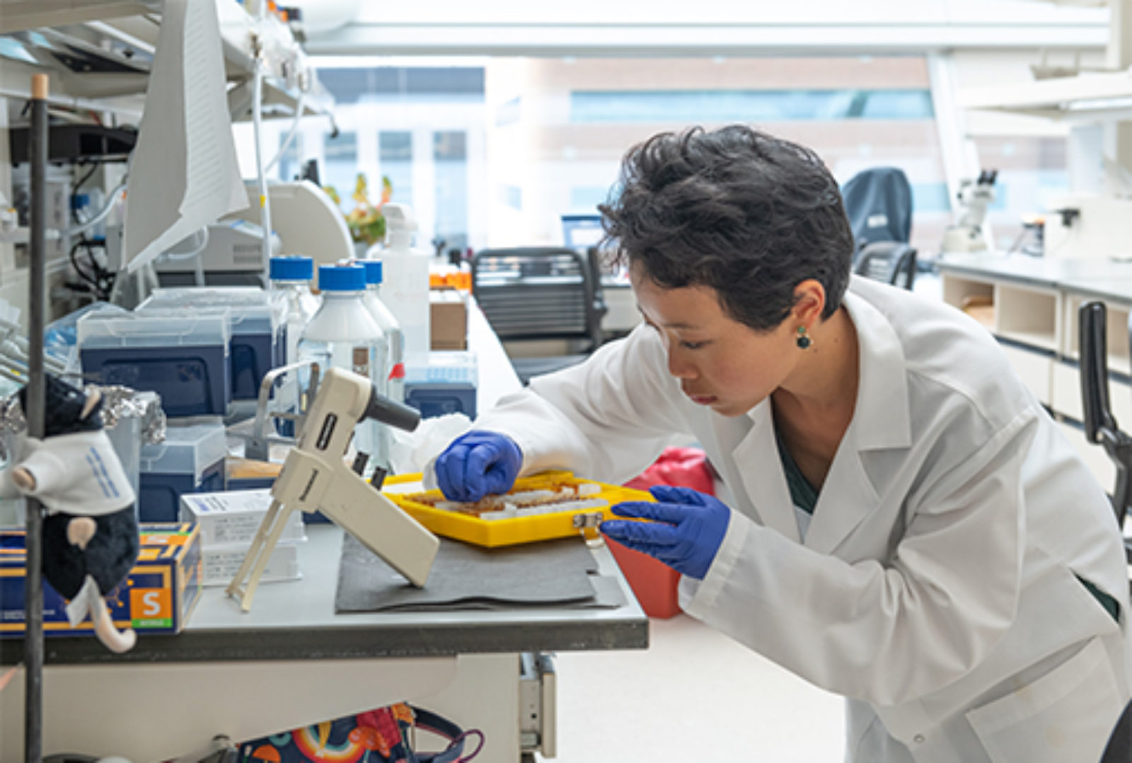 Doctoral & Ph.D. Program Overview - VAI