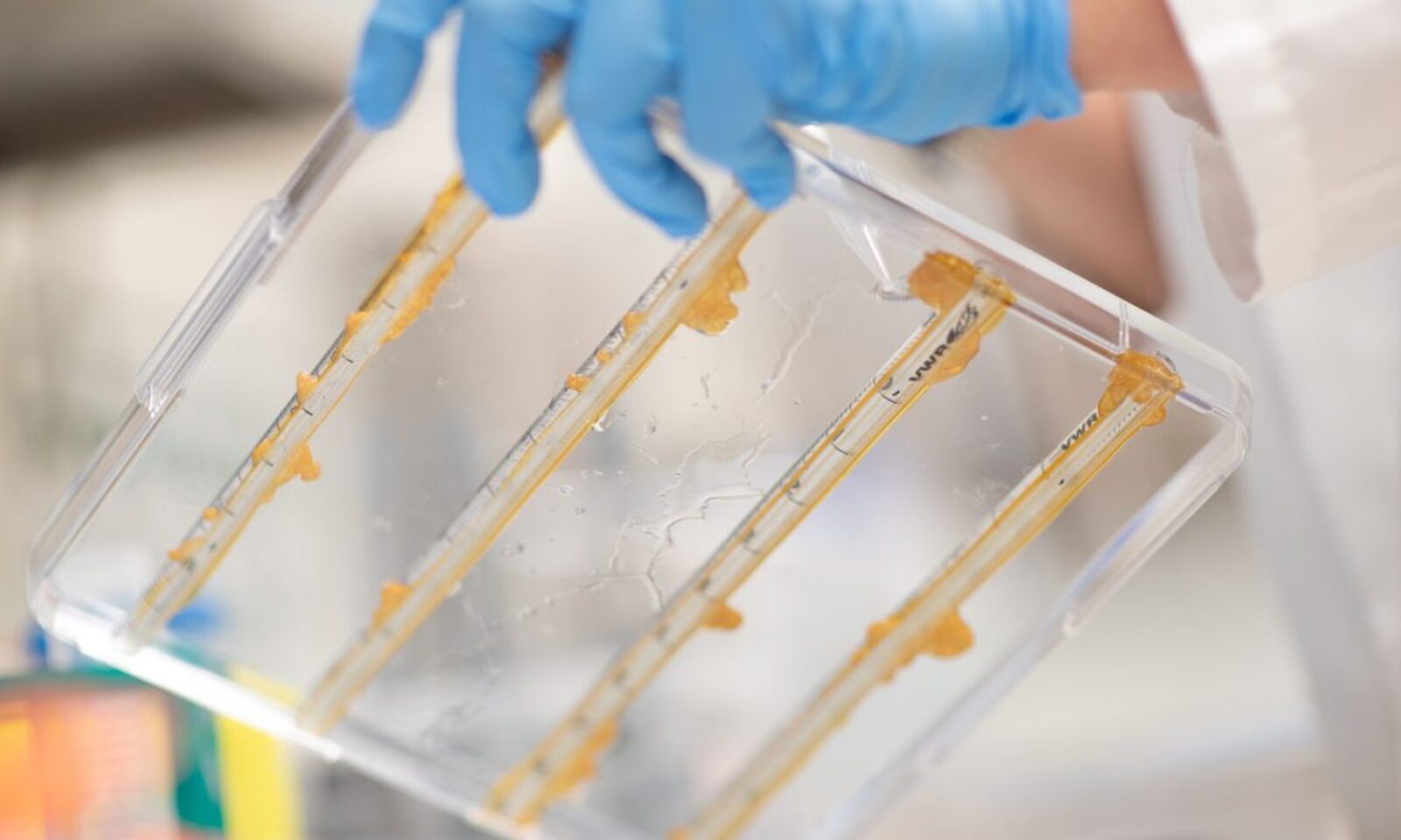 Van Andel Institute - Independent Biomedical Research Institute