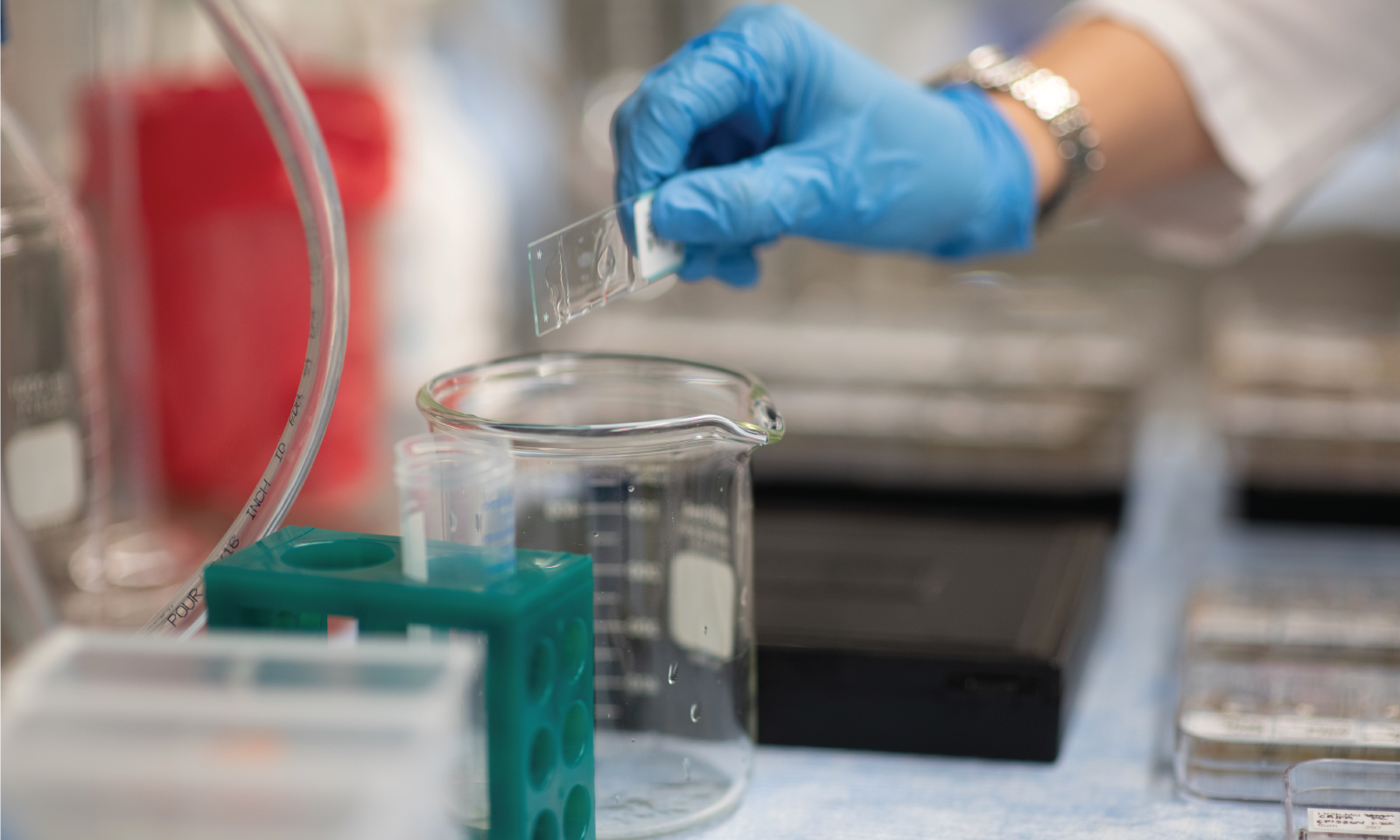 Cancer Research Area - Van Andel Institute