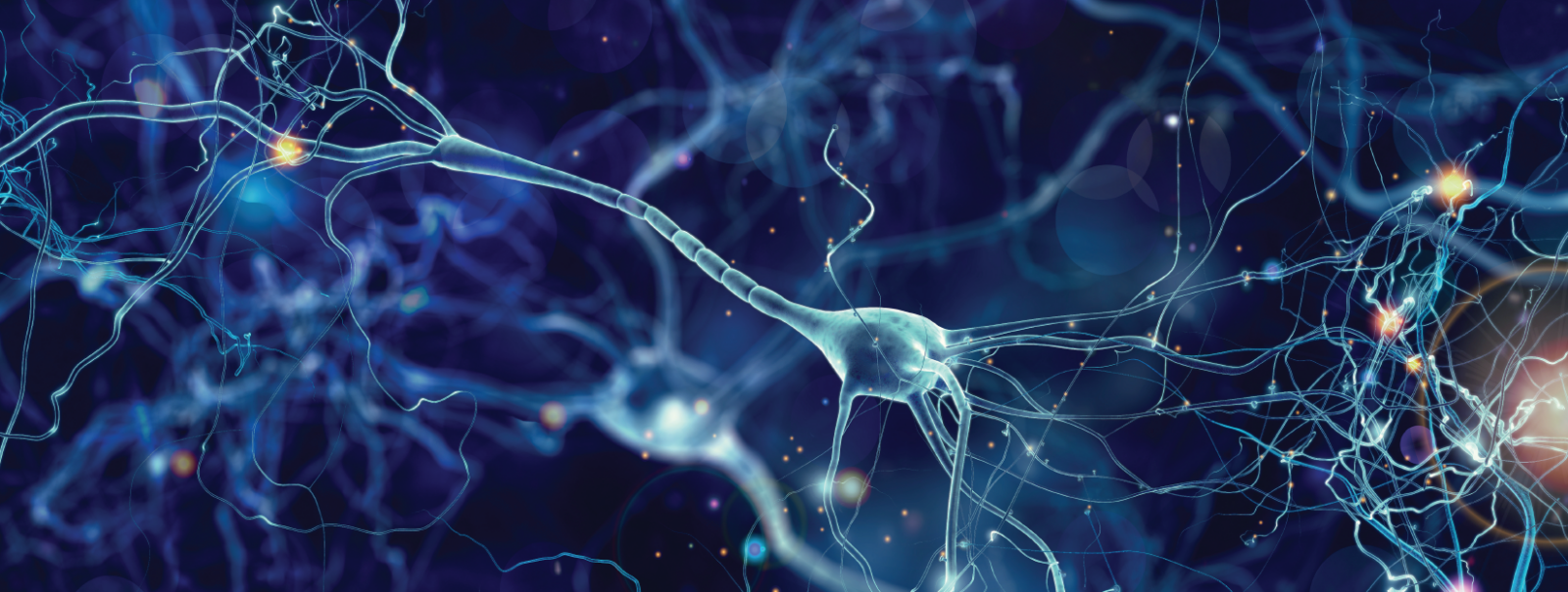 Study links bladder inflammation from UTIs with development of multiple ...