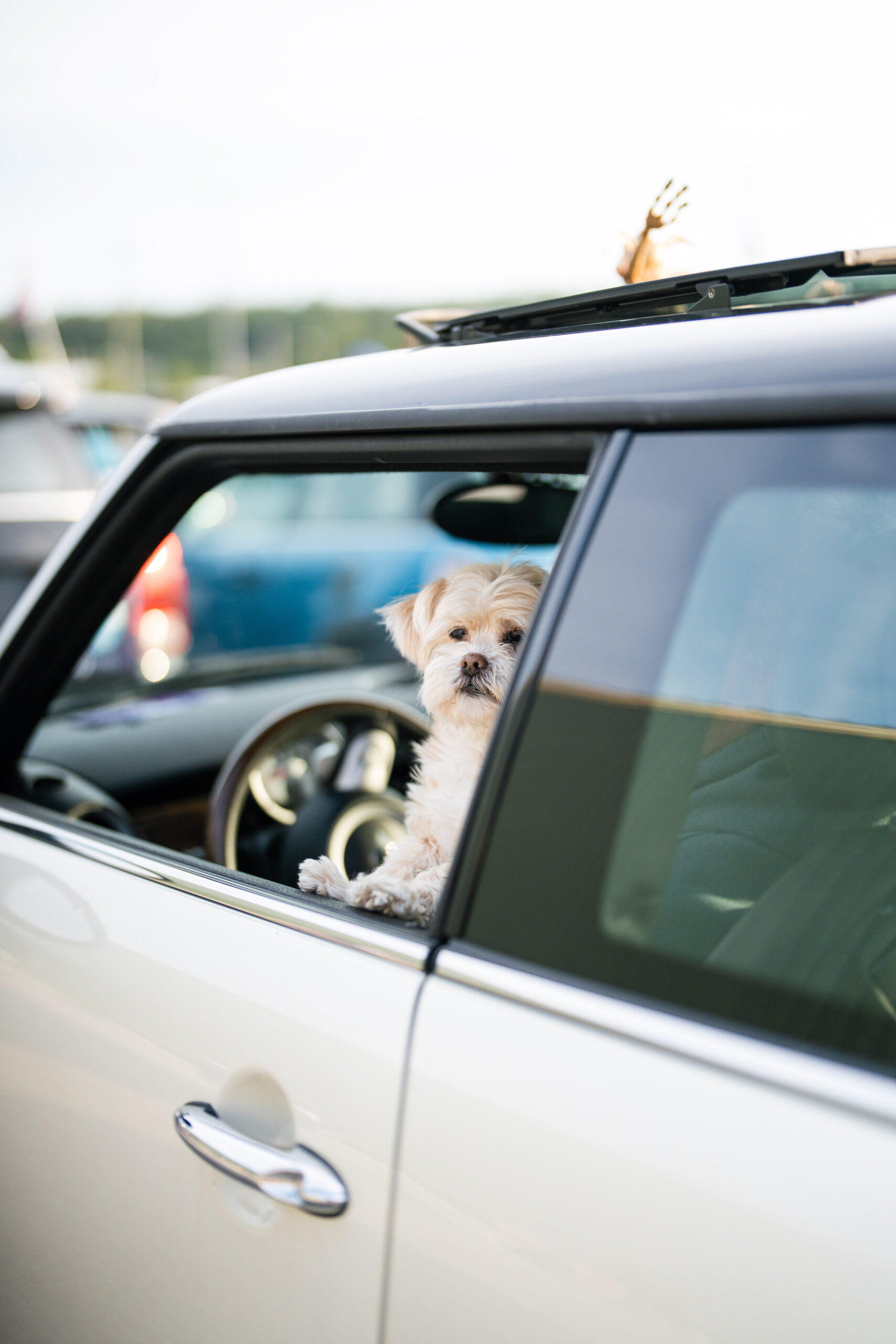 2023 Mini on the Mack Gallery – VAI