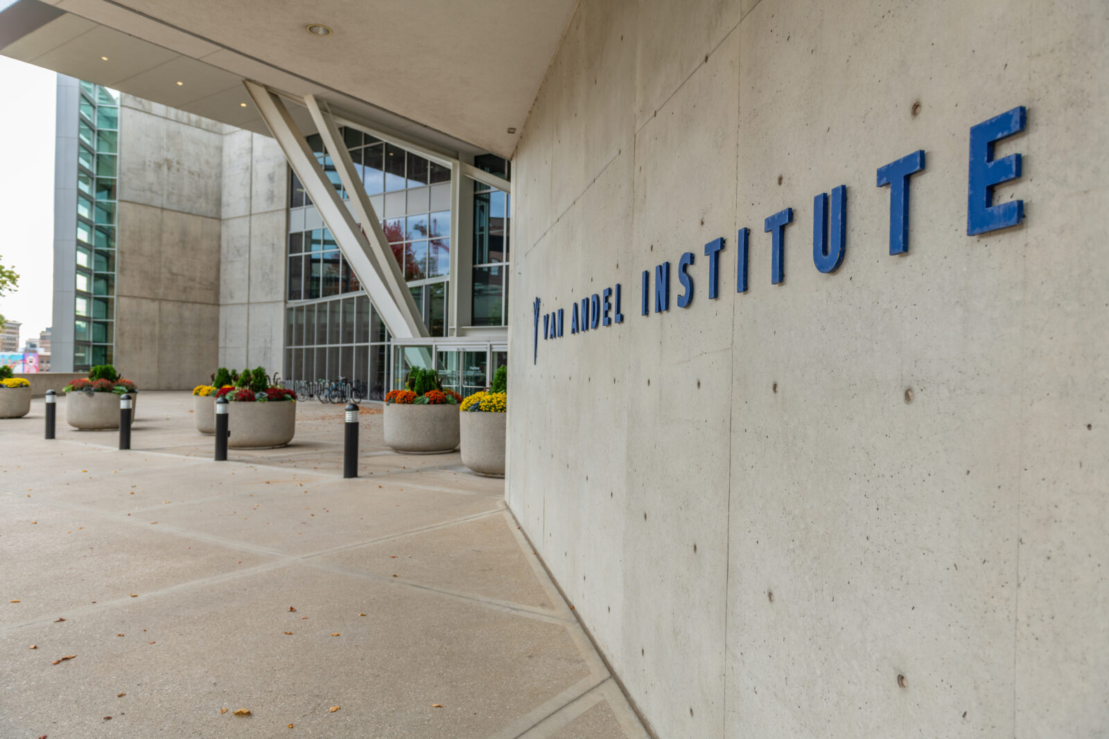 Career Opportunities & Employee Benefits - VAI