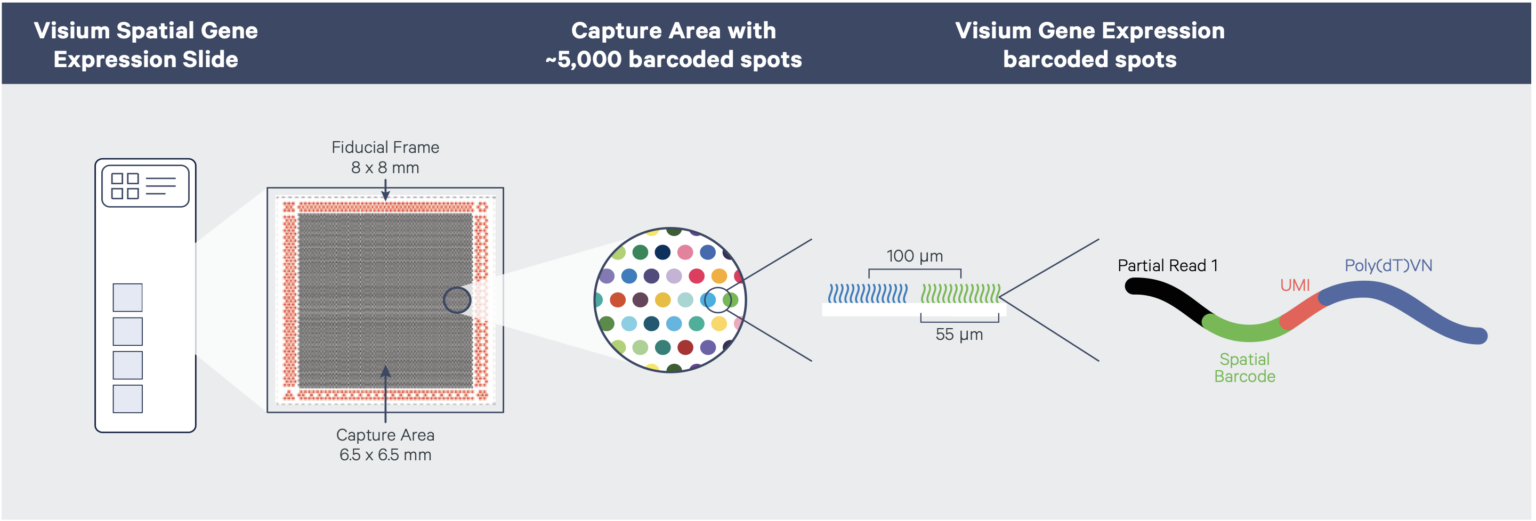 Spatial Collaborative Services – Van Andel Institute