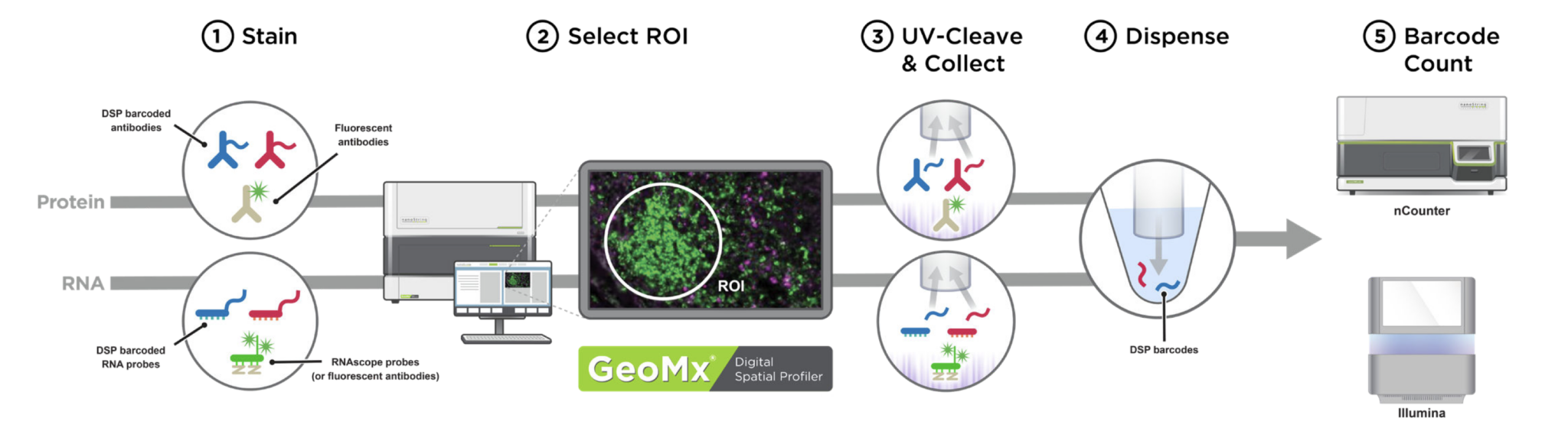 Spatial Collaborative Services – Van Andel Institute