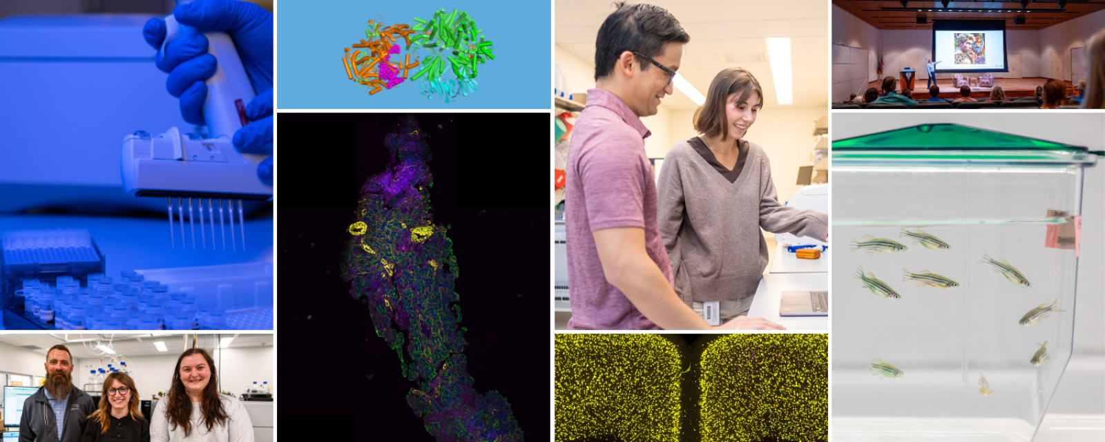 Van Andel Institute Graduate School - Biomedical Graduate Program - VAI