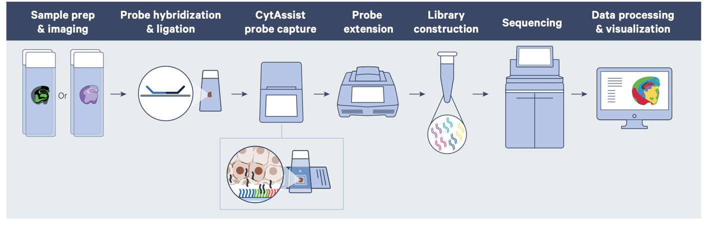 Spatial Collaborative Services – Van Andel Institute