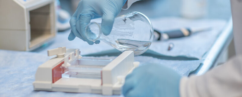 Van Andel Institute - Independent Biomedical Research Institute